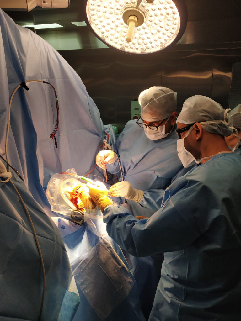 Deep Brain Stimulation Dbs Parkinson Disease Dystonia